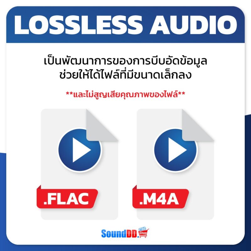 ประเภทของไฟล์เสียง | Lossy Audio กับ Lossless Audio ต่างกันยังไง?