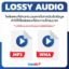 ประเภทของไฟล์เสียง | Lossy Audio กับ Lossless Audio ต่างกันยังไง?