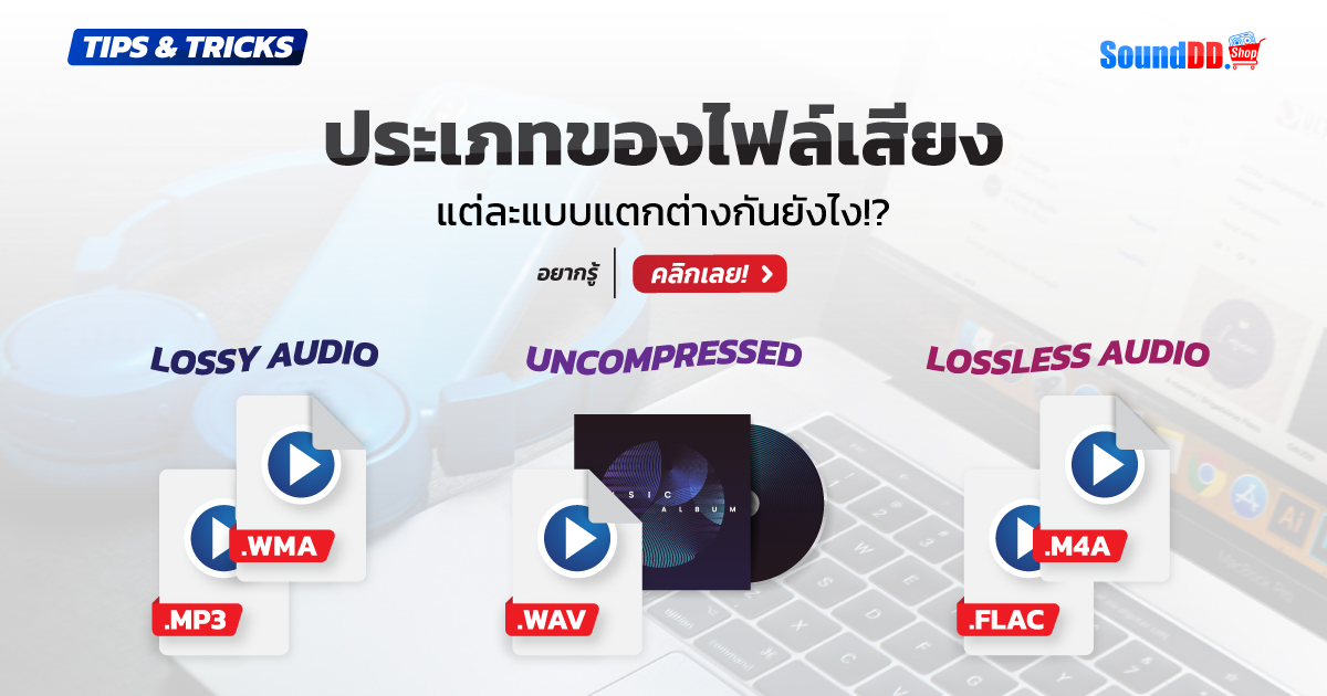 ประเภทของไฟล์เสียง | Lossy Audio กับ Lossless Audio ต่างกันยังไง?